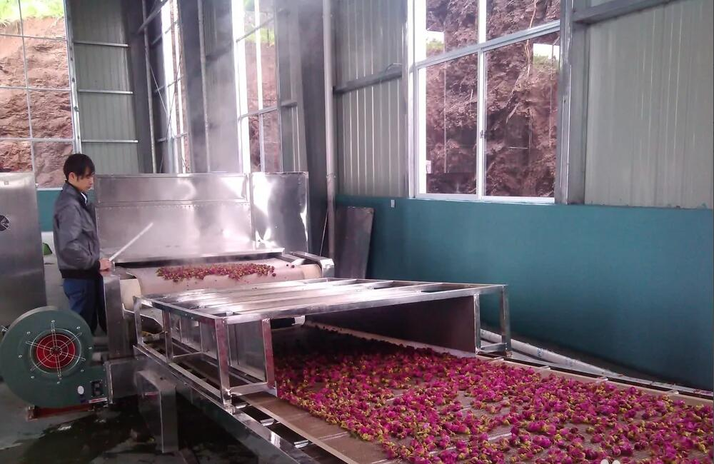 News - How to make dried flowers?